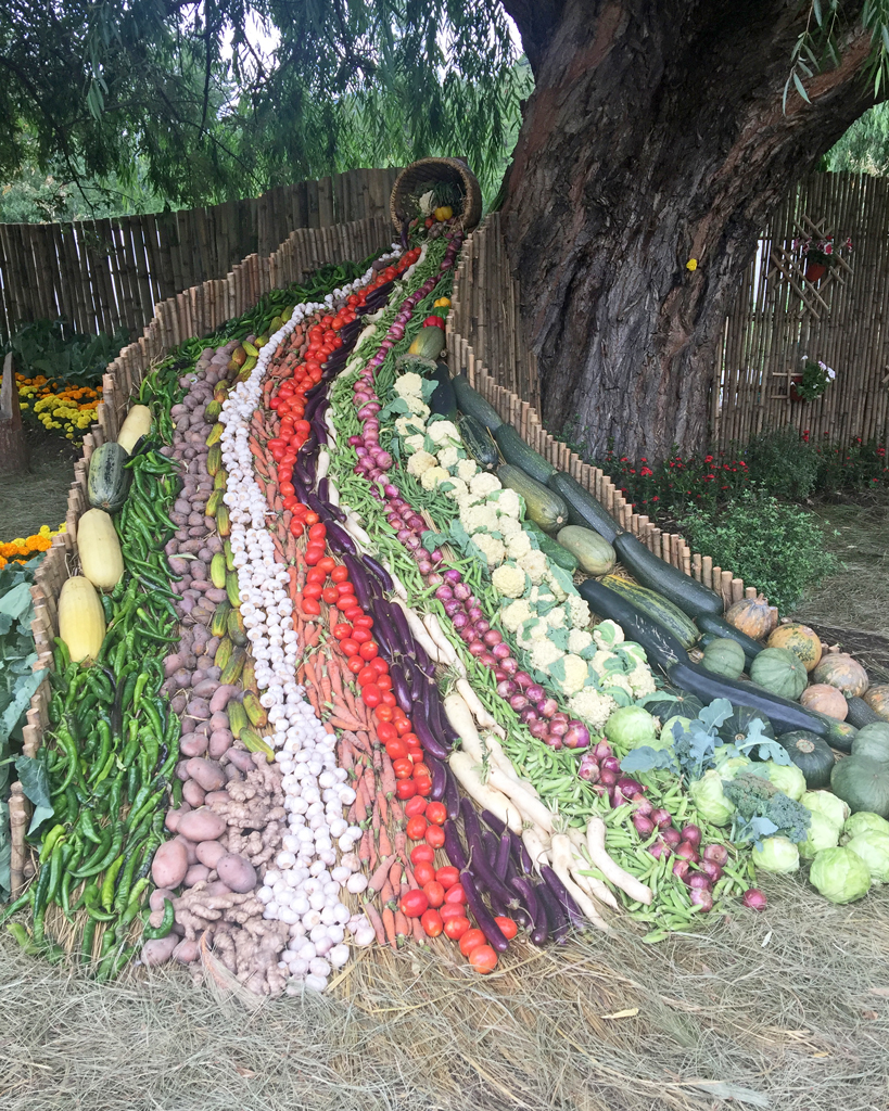 Lama Zopa Rinpoche Visits the Annual Flower Exhibition in Paro, Bhutan ...