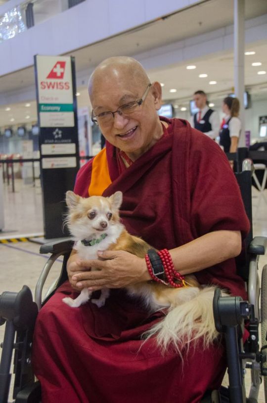 Gendun Drupa Center Hosted Lama Zopa Rinpoche in Savièse, Switzerland ...
