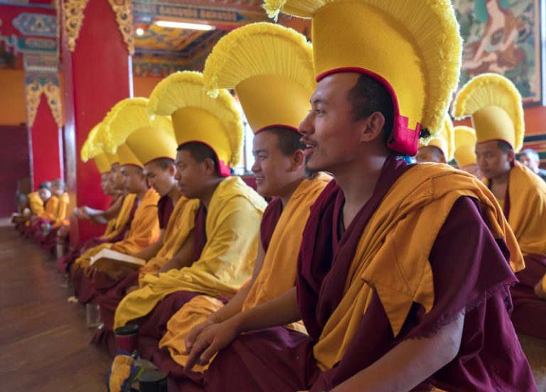 This Perfect Human Rebirth Is So Precious Because You Can Use It to ...