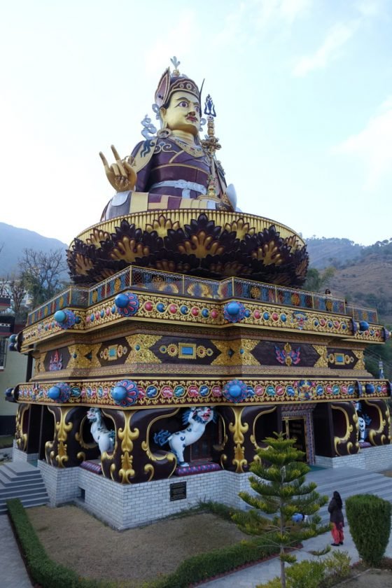 Study & Practice News