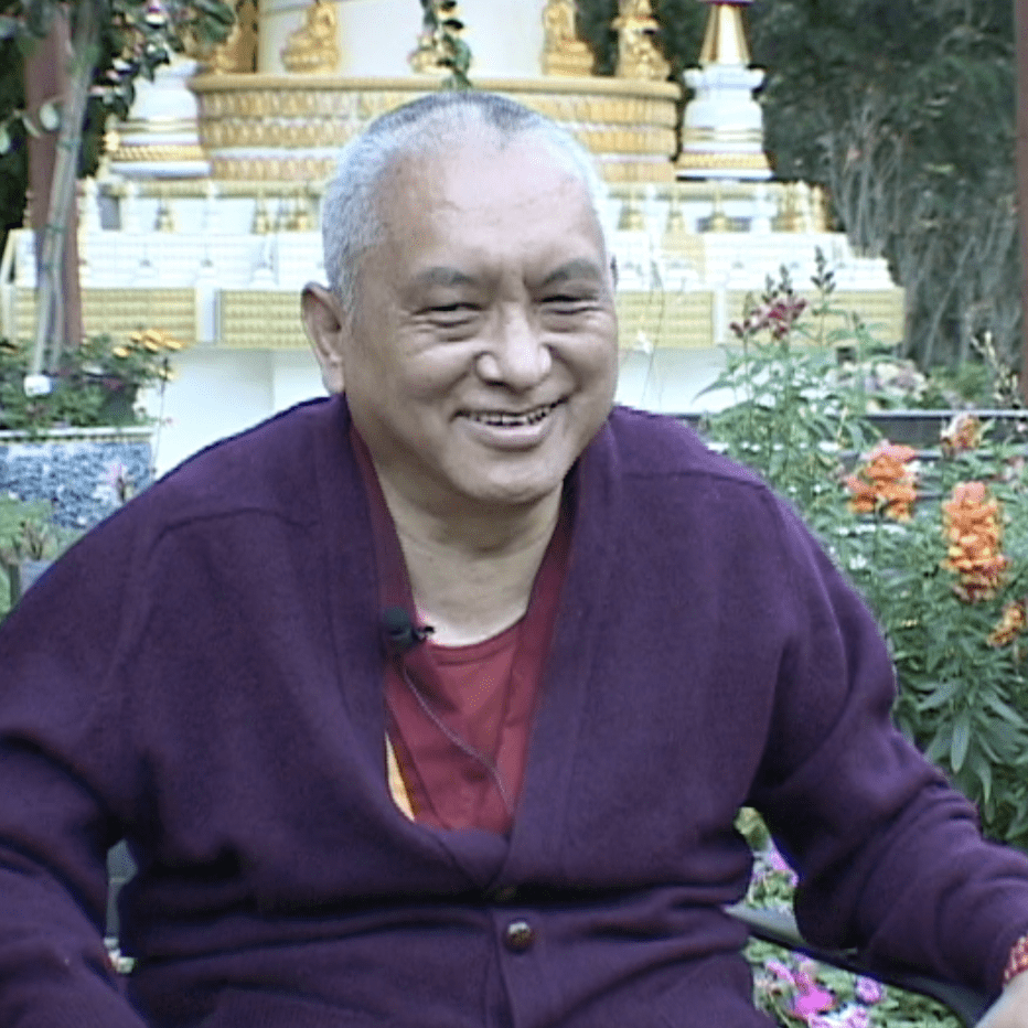Rinpoche Available Now - FPMT